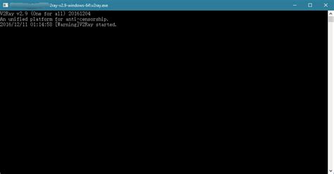 安装 v2ray · v2ray 配置指南 v2ray 白话文教程