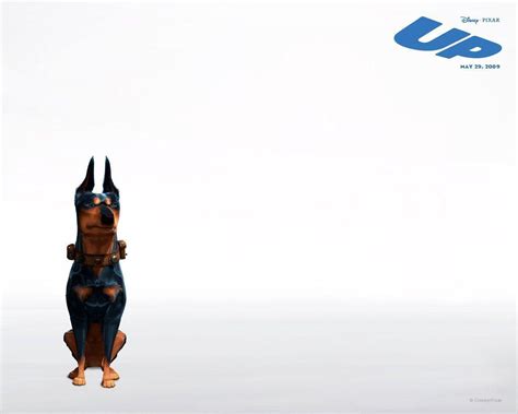 Doberman Wallpapers Wallpaper Cave