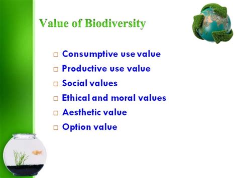 Biodiversity Concept Types And Its Values Pptx