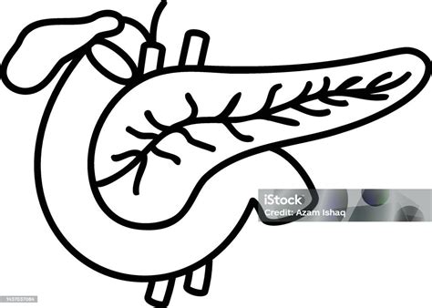 인간의 췌장 개념 소화관 벡터 개요 아이콘 디자인 장기 시스템 기호 인체 해부학 기호 인체 부분 스톡 일러스트레이션 간 내부