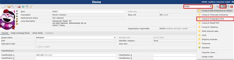 assigning item flags in comarch erp enterprise knowledge base