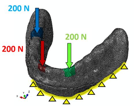 finite element method model three load cases and boundary conditions