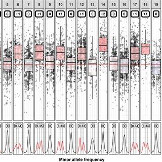 Chromosomal Level CNVs Detected By Gene Expression And MAF Of SNVs The Download Scientific