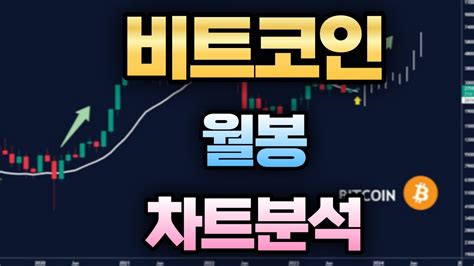 비트코인 월봉 차트분석 Youtube