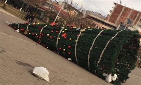 Vidhen Dekorimet E Bredhit Në Komunën E Drenasit Gazeta Online Insajderi