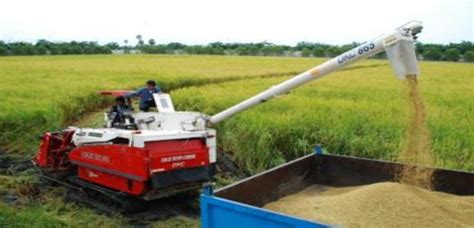 တောင်ငူမြို့နယ် ငါးဖယ်အင်းကျေးရွာအုပ်စုတွင် မိုးစပါးများရိတ်သိမ်း Consumer