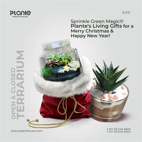 Muhammed Junaid V P On Linkedin Recent Design Made For Planteuae