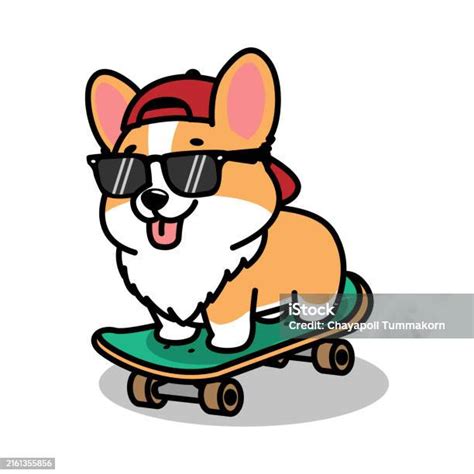 귀여운 코기 개 스케이트 보드 만화 벡터 일러스트 레이 션 펨브록웰시코기에 대한 스톡 벡터 아트 및 기타 이미지 펨브록웰시코기 개 스케이트보드 Istock