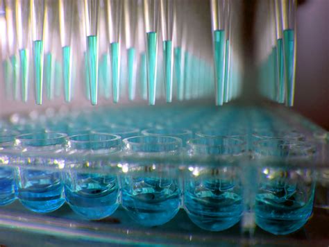 How Analogous Can Solid Phase Extraction And Analytical Liquid Chromatography Be Bioanalysis Zone