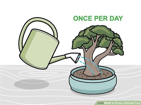 Ways To Prune A Bonsai Tree WikiHow