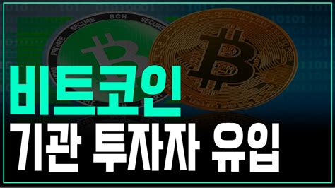 비트코인 제대로 된 상승 아직 시작도 안 했습니다 앞으로 거대자금이 계속 몰립니다 Youtube