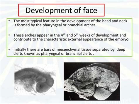 Development Of Face Pptx