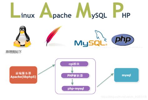 利用burpsuitesqlmap POST自动化注入详解 腾讯云开发者社区 腾讯云
