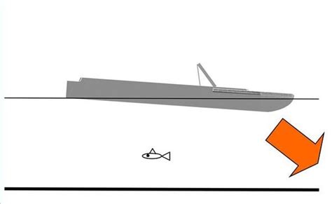 What Is Boat Transom Height Gone Outdoors Your Adventure Awaits