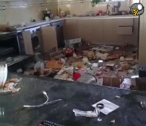 بلای که سه قلو ها به وجود آوردن فیلو