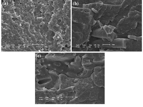 Sem Micrographs Of The Cryofractured Surfaces Of The Reactive Blends