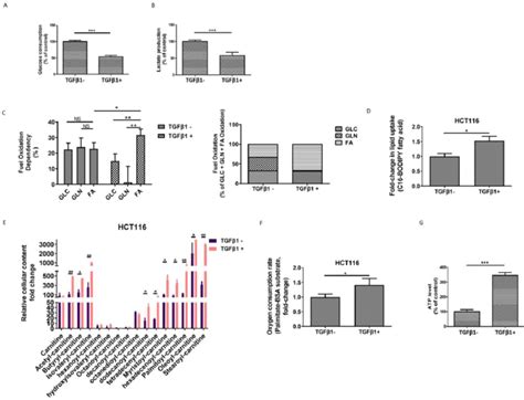 tgfβ1 activates fao to induce metabolic reprogramming in crc cells