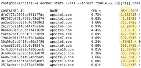 Docker Container Memory Overhead How To Prevent Oom Errors