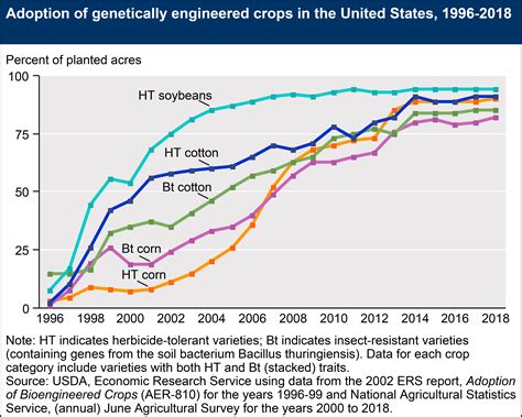 Genetically Modified Corn Technology At Leticia Martinez Blog