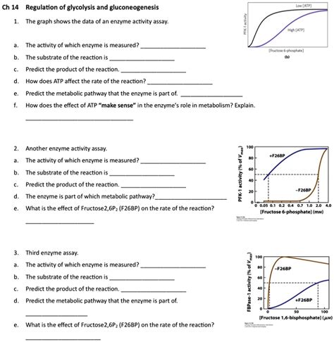 Ch 14 Regulation Of Glycolysis And Gluconeogenesis The Graph Shows The