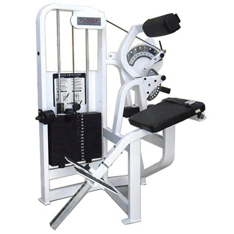 Cybex Back Extension