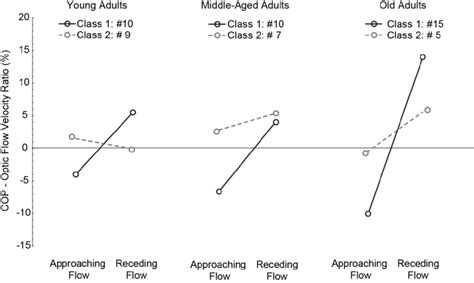 6 Optic Flow Sensitivity Segmentation Segmentation Per Age Group Was