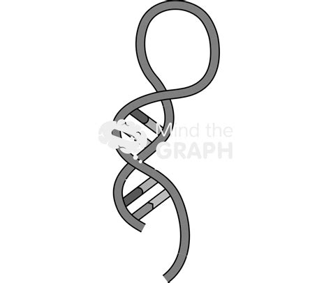 Non Coding Rna 1