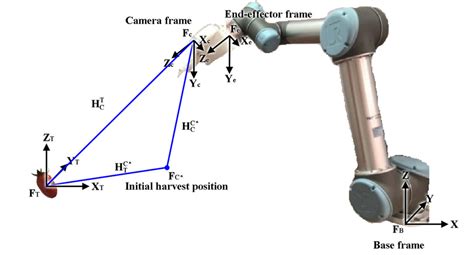 Coordinate Frames For The Robotic Manipulator Tomato Centroid Camera