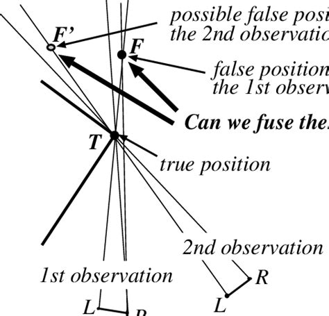 viewpoints for resolving ambiguity download scientific diagram