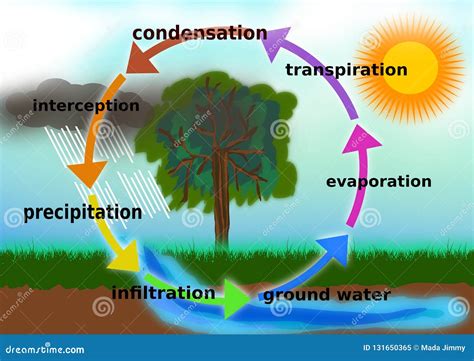 Water Cycle Concept Illustration Stock Illustration Illustration Of Environment Wind 131650365