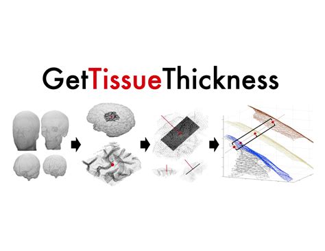 Github Sybrenvanhoornwedergettissuethickness Get Tissue Thickness