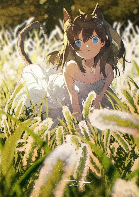 Cat Tail Cat Girl Cat Ears Concerts Animal Ears Microphone