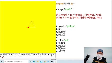 PYTHON 파이썬 입문 turtle 거북이 모듈 호두왕 설치 기본 사용 방법 turtle 모듈 YouTube