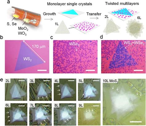 Twisted Multilayers Fabricated From Cvd Grown Tmdc Monolayers A