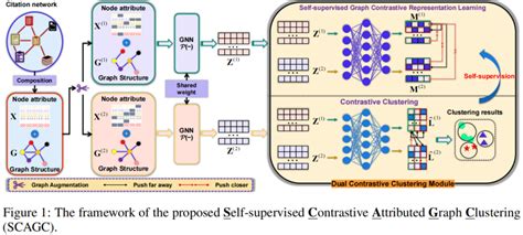 论文解读（scagc）《self Supervised Contrastive Attributed Graph Clustering