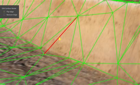 Flip Edge Virtual Surveyor Support Portal