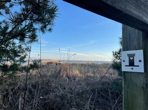 Exploring The Udl 3 0 Version Inspired By An Episode On The Tea For Teaching Podcast