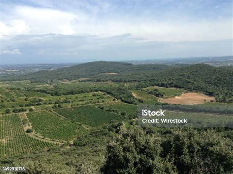 멀리 울창한 녹색 목초지와 구불구불한 언덕이 있는 시골의 경치 좋은 전망 0명에 대한 스톡 사진 및 기타 이미지 0명 거리가 먼 경관 Istock