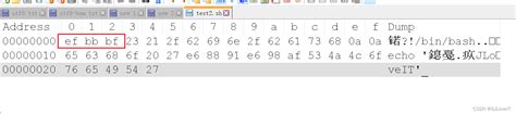 utf8和utf8 bom的区别以及由此产生的对字符编码的思考 utf8和utf8bom csdn博客