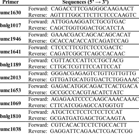 Names And Sequences Of SSR Primers Used In This Study Download Scientific Diagram