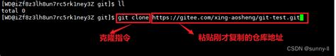 【linux】git超详细教程：手把手教你gitee版 版本管理远程仓库克隆（初学者必看！！！）linux Gitee Csdn博客