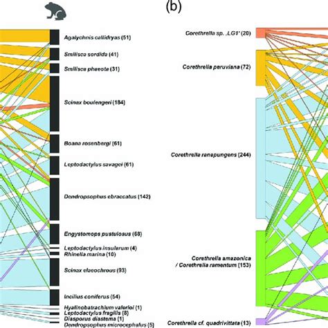 Quantitative Bipartite Interaction Networks Of Frog Biting Midges