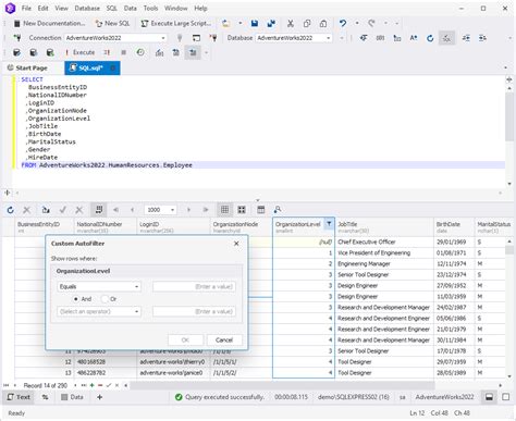 Hiding Columns And Filtering Data