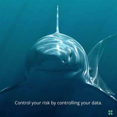 Adon Anastasios On Linkedin Lextech Shark