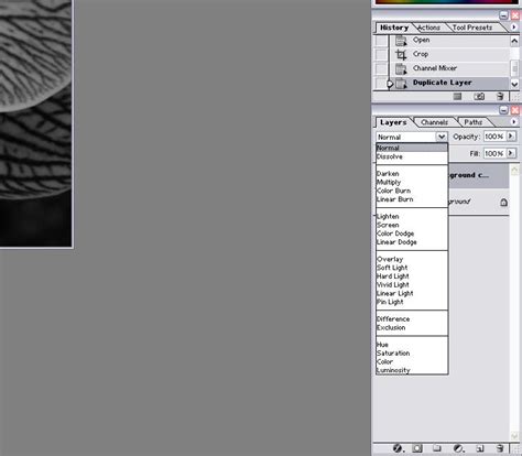 An Open Ended Course In Photography How To Use Blend Modes For Effect