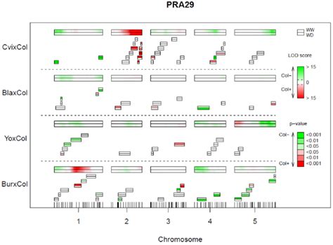 Near Isogenic Lines Based Validation Of Qtls For Pra29 Download