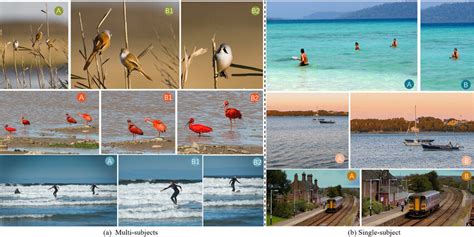 Subject Aware Composition Dataset Sacd Examples A Images With