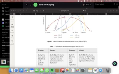 THE IB Flashcards Flashcards Quizlet