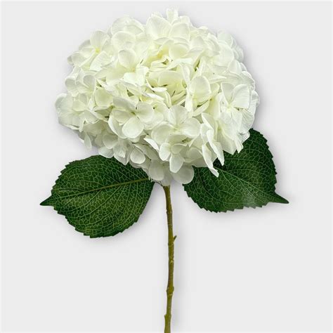 Artificial Faux Silk Flowers And Foliage Uk Artificial Faux White