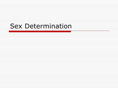 Sex Determination And Sex Chromosomes Ppt Download